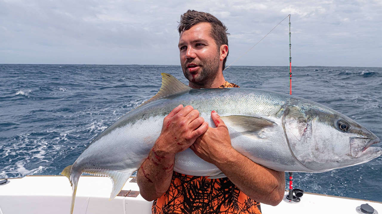 Gallery - Pelagic Charters