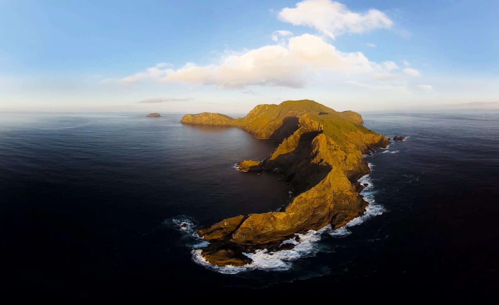 Three Kings Islands – Pelagic Charters