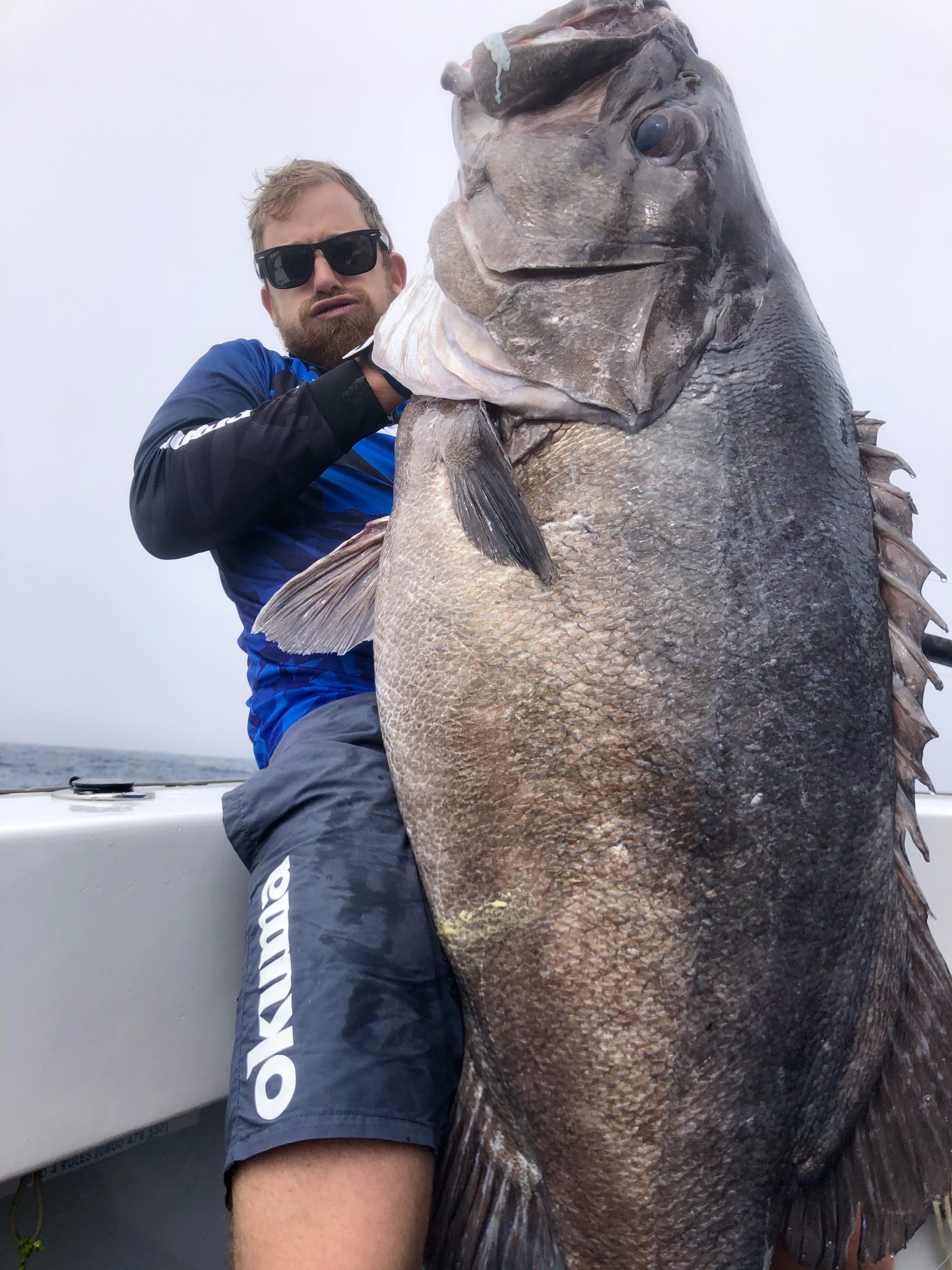 Pelagic Charters | 3 Kings Fishing Charters