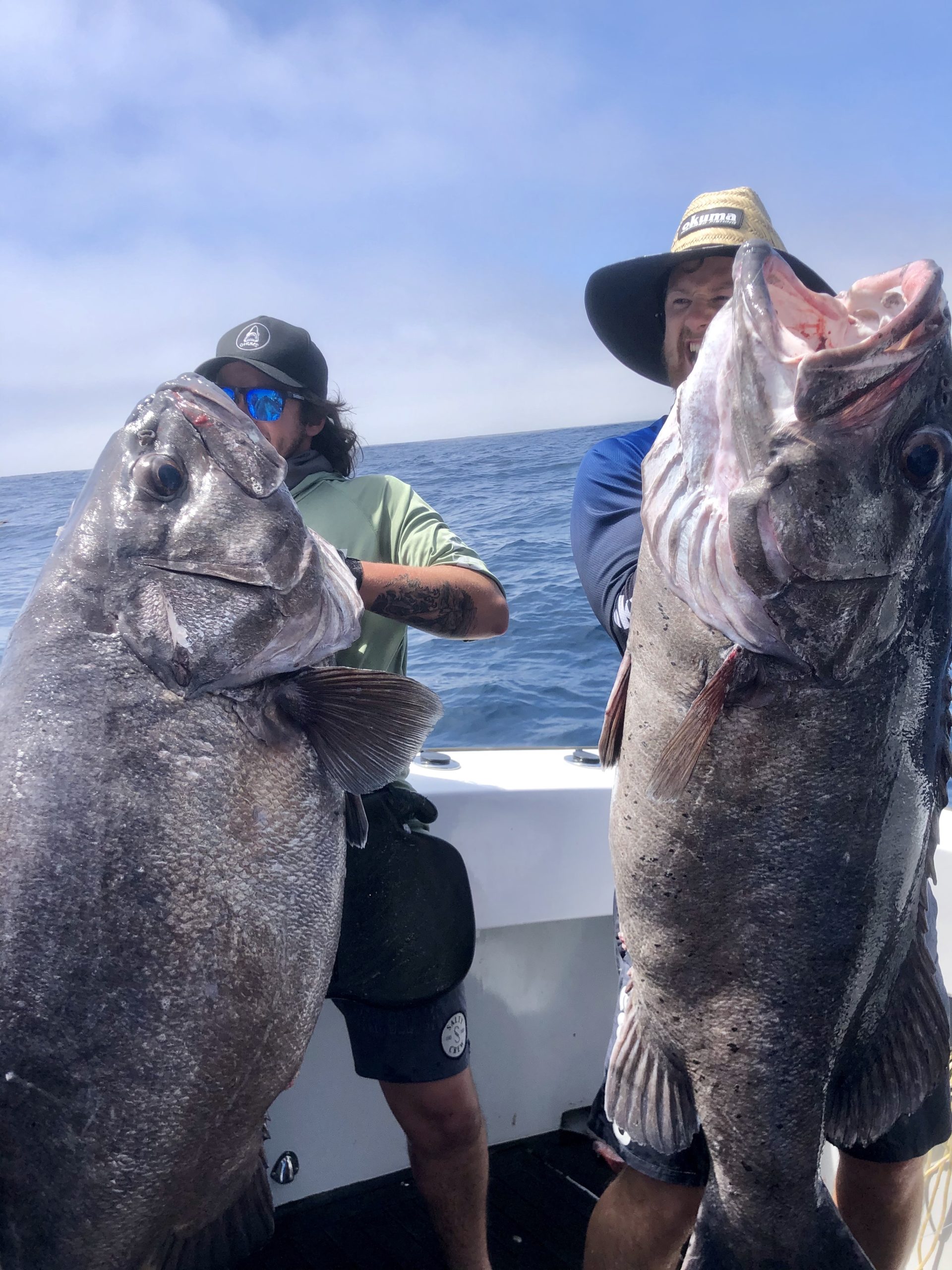 Pelagic Charters | 3 Kings Fishing Charters