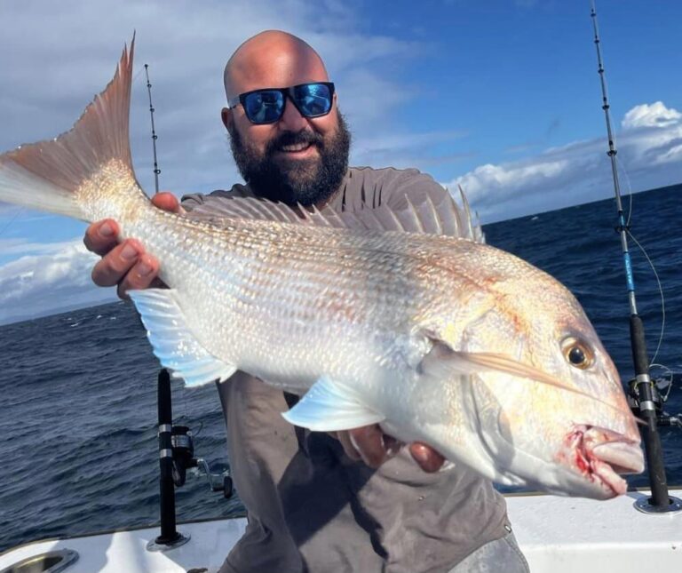 Auckland - Pelagic Charters