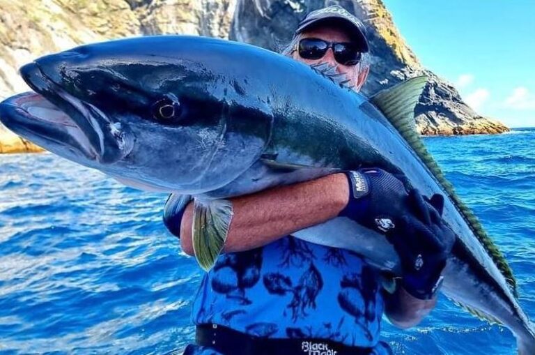 Kingfish – Pelagic Charters